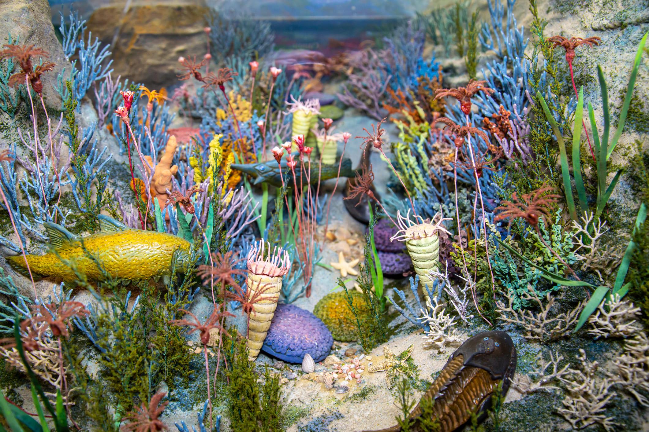 Paleozoico: qué es, etapas y animales - Resumen