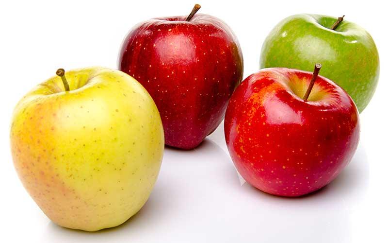 Manzano - Descripción y características