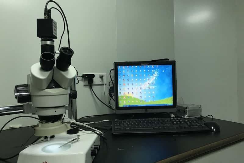Tipos de microscopios - Nombres y características
