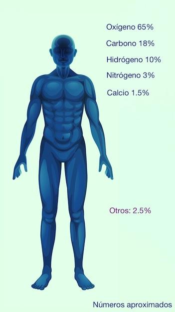 Composición del cuerpo humano - ¿Qué elementos lo componen?