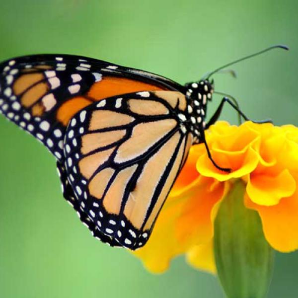 Junio 2023 - Página 4