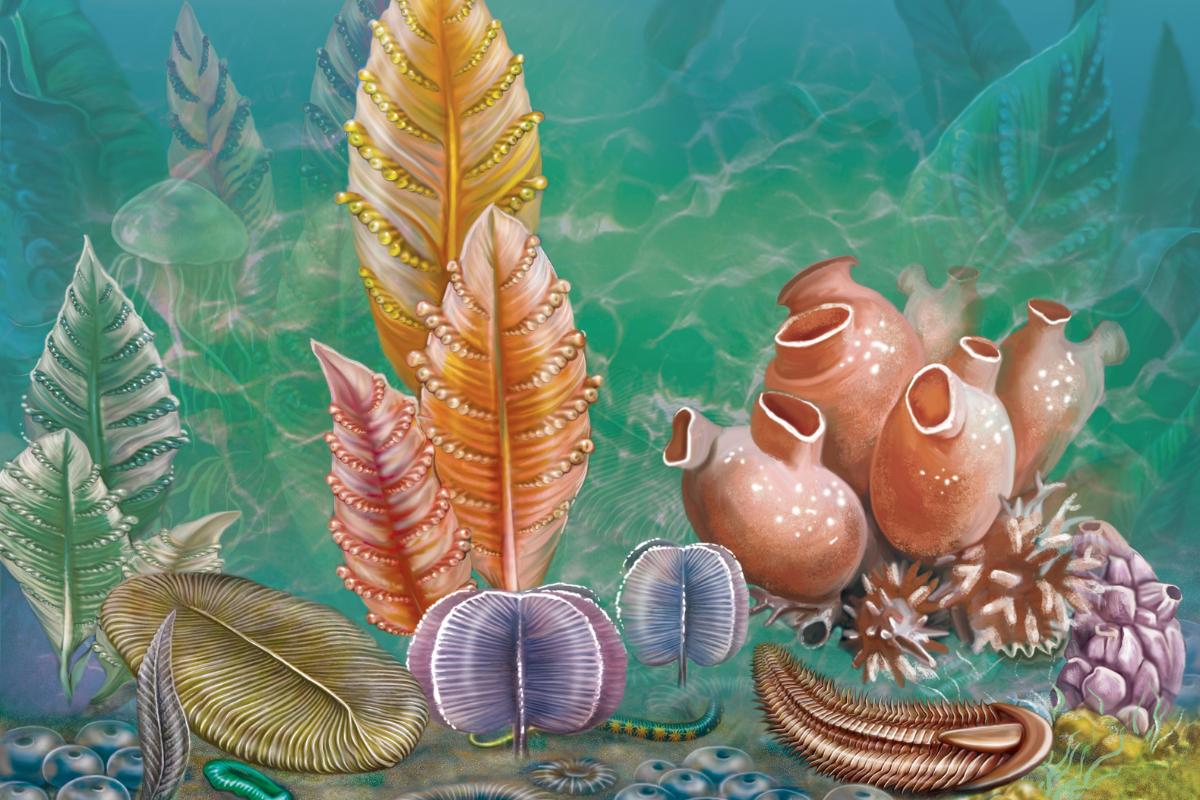 Precámbrico: qué es, división y características - Resumen