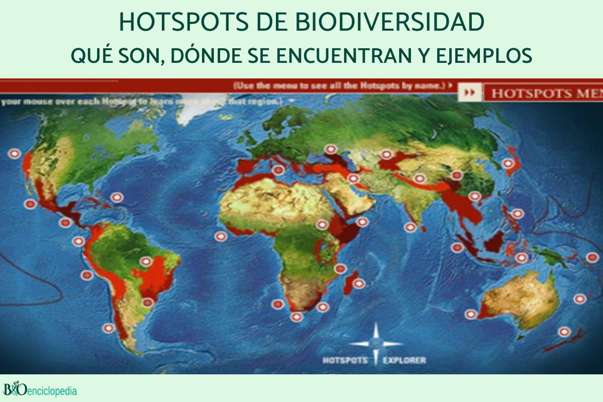 Hotspots de biodiversidad: qué son, dónde se encuentran y ejemplos ...